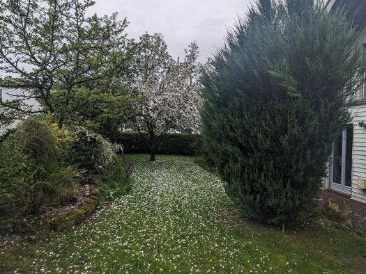 Haus von privat kaufen in Geiselwind Holzberndorf | immowelt