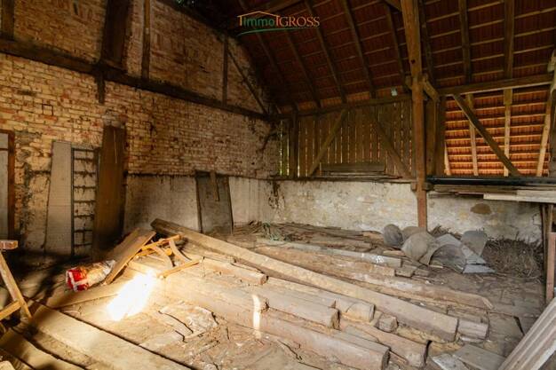 Land-/Forstwirtschaft kaufen in Kleines Wiesental Elbenschwand | immowelt