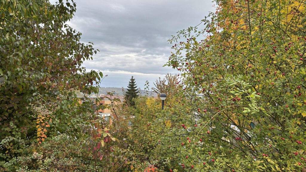 Haus 160 m² 333000 € zum Kauf Springe - Nord,Springe (31832)