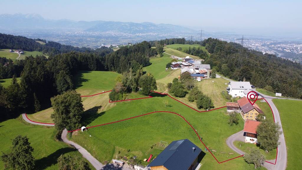 Land-/Forstwirtschaft zum Kauf Schneider,Bildstein (6858)