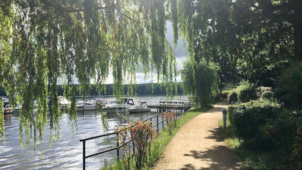 Haus 311 m² 1690000 € zum Kauf Eichwalde (15732)