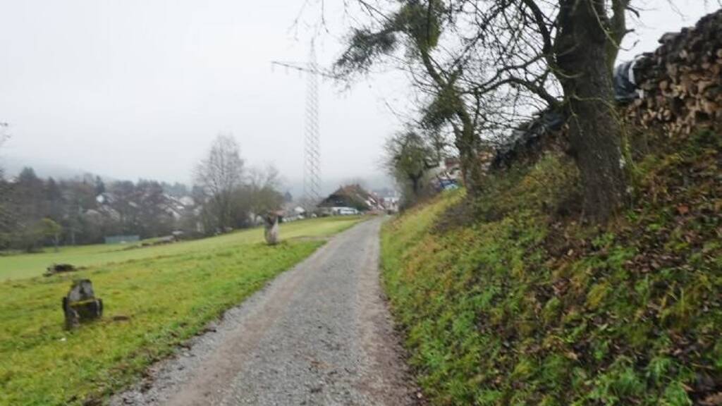 Land-/Forstwirtschaft 5656 m² 24000 € zum Kauf Am Dreispitz ...