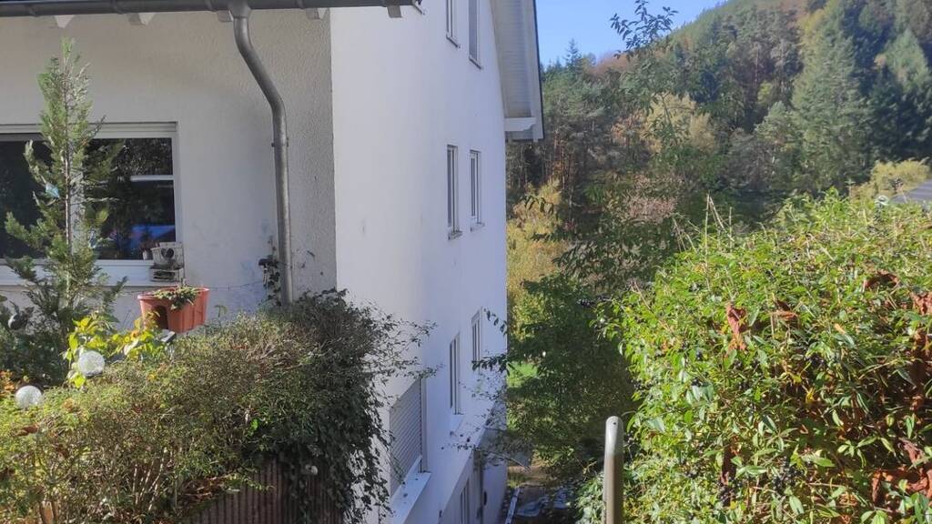 Haus 440 m² 660000 € zum Kauf Mölschbach,Kaiserslautern (67661)