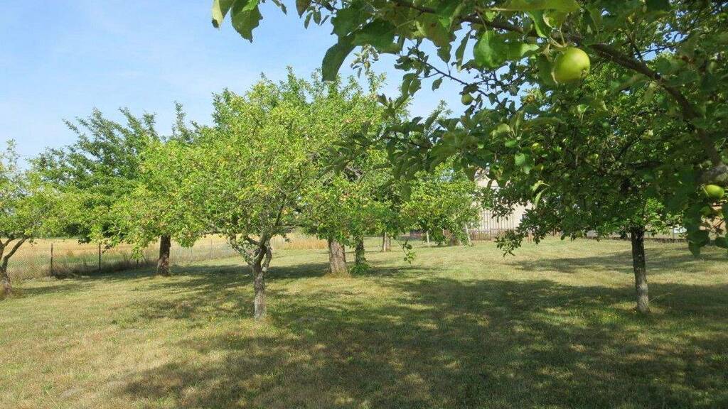 Haus 150 m² 350000 € zum Kauf Wadelsdorf,Spremberg (03130)