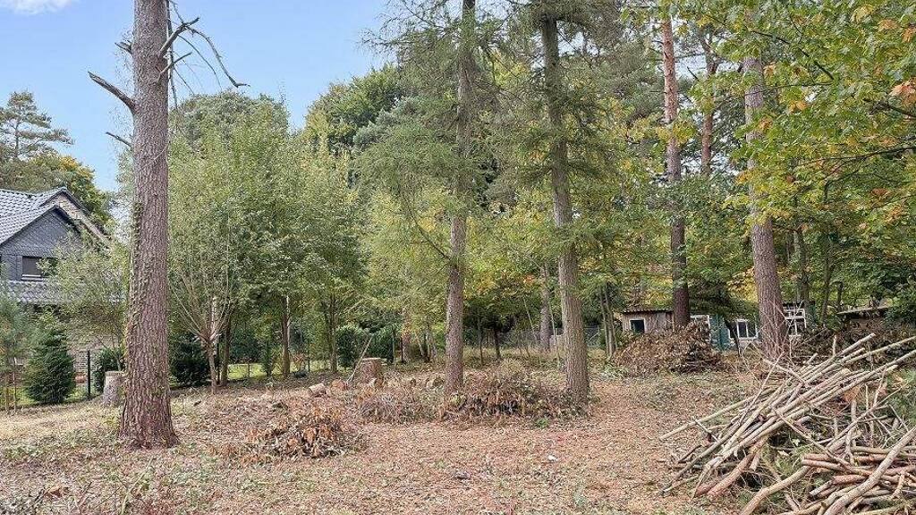 Grundstück 280000 € zum Kauf Bissendorf,Wedemark (30900)