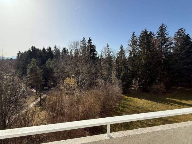 Wohnung mieten bis 800€ in Waging a. See, Traunstein | immowelt