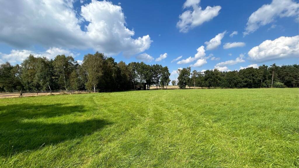 Land-/Forstwirtschaft 450 m² 2200000 € zum Kauf Bispingen,Bispingen (29646)