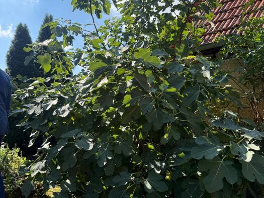 Haus von privat kaufen in Bretten Rinklingen | immowelt