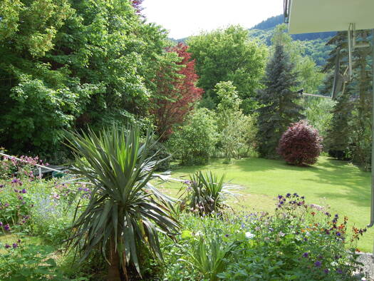 Erdgeschosswohnung mieten in Grimburg, Trier-Saarburg | immowelt