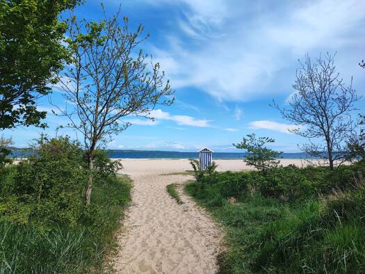 Neubauprojekte kaufen in Rade, Rendsburg-Eckernförde | immowelt