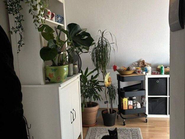 Wohnung mieten bis 500€ in Rüthen, Soest | immowelt