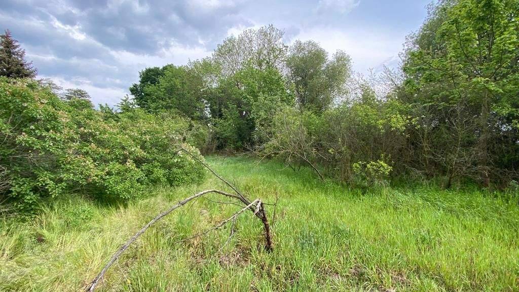 Grundstück zum Kauf Lutherstadt Wittenberg,Wittenberg (06886)