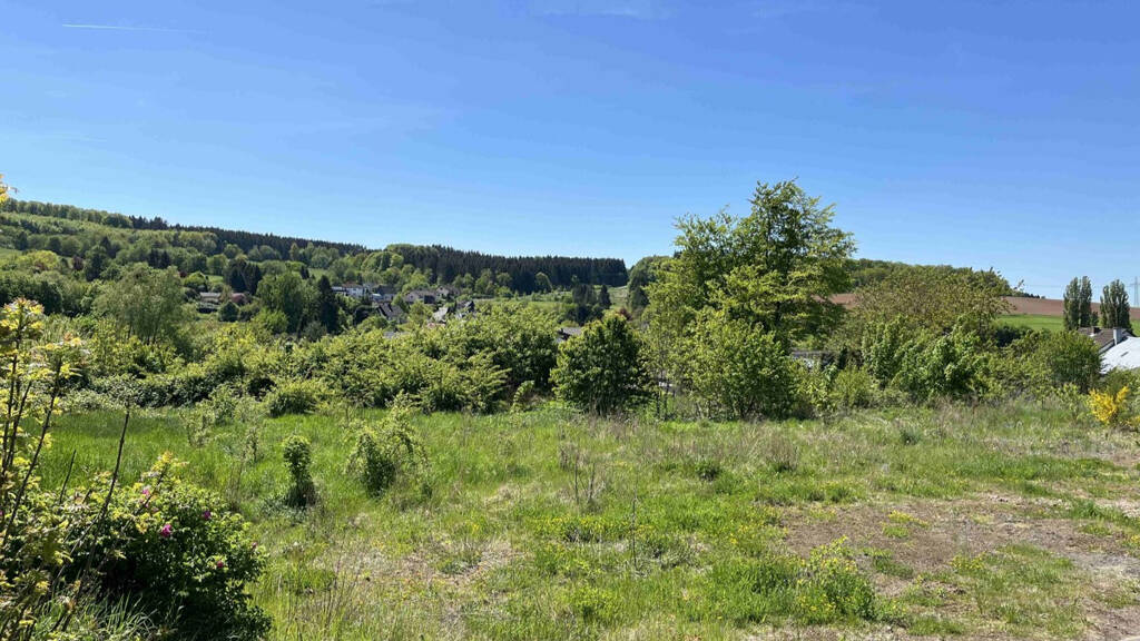 Grundstück 24255 € zum Kauf Kirchweiler (54570)