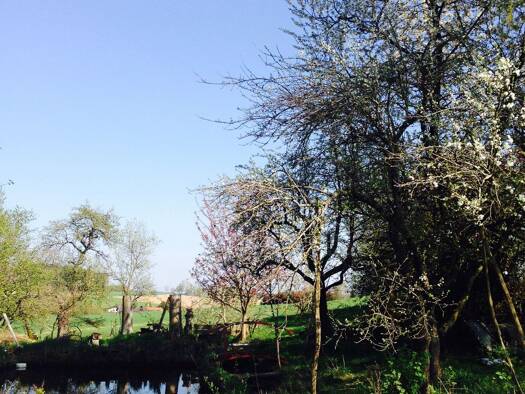 Möbliertes Haus mieten in Niederbergkirchen Birach | immowelt