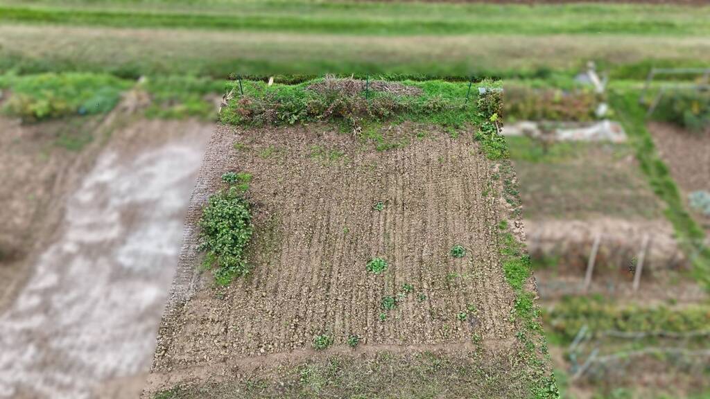 Haus 190 m² 327000 € zum Kauf Ochsenfurt,Ochsenfurt (97199)