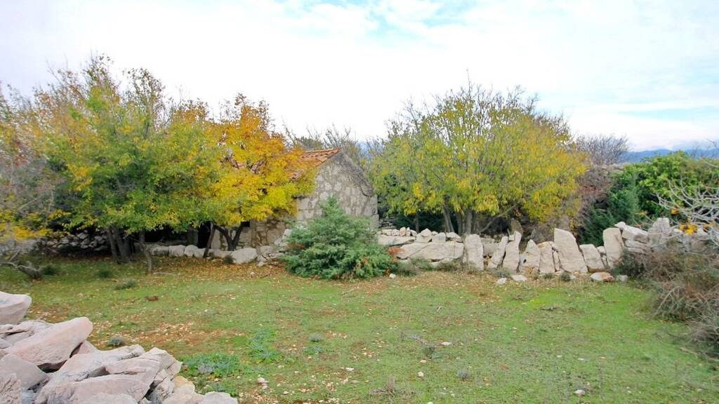 Haus 41 m² 218000 € zum Kauf (51514)