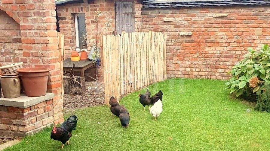 Haus 90 m² 190000 € zum Kauf Arthur-Graf-Straße 1a,Groitzsch,Groitzsch ...